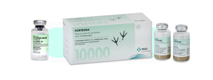 Productos | Avicultura MSD