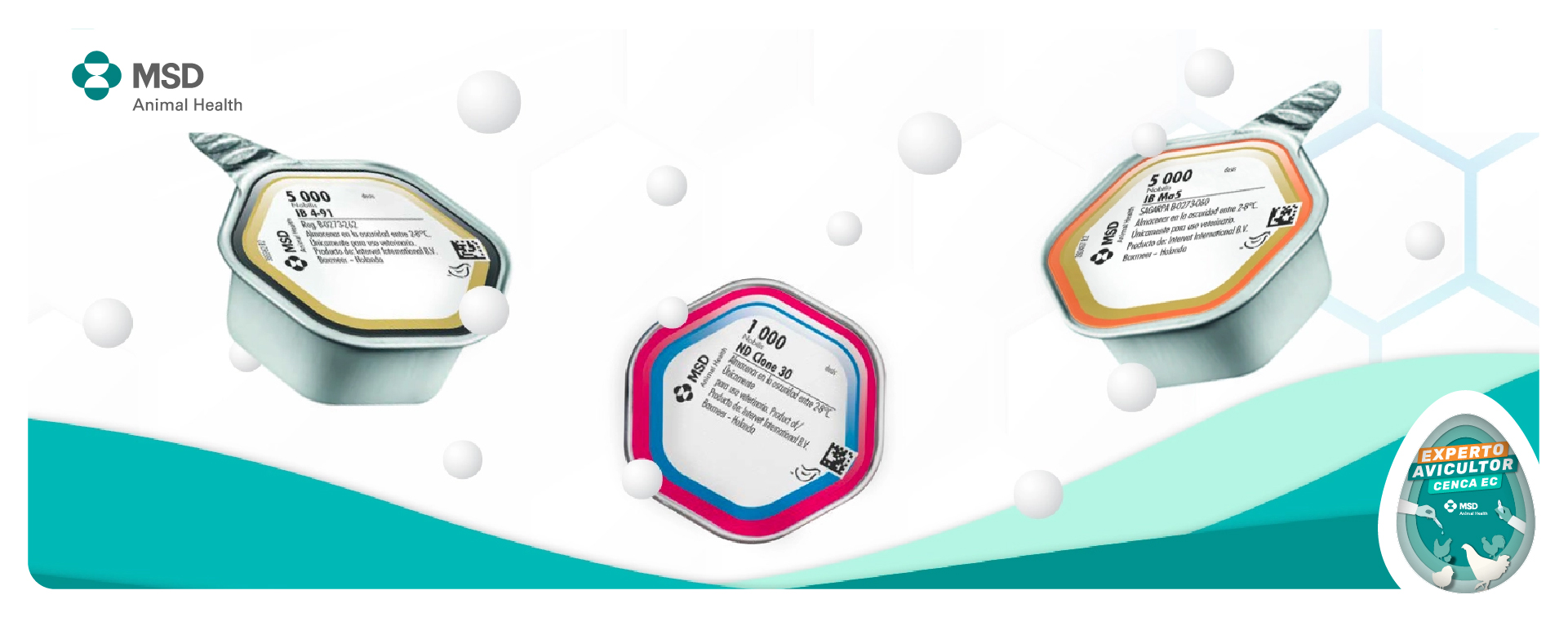 Conoce Sphereon®, y cómo vuelve la vacunación en aves más sencilla ...