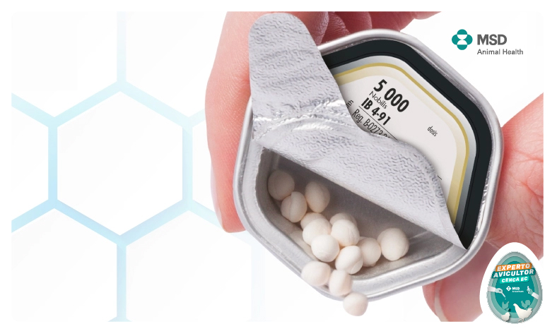 Conoce Sphereon®, y cómo vuelve la vacunación en aves más sencilla ...